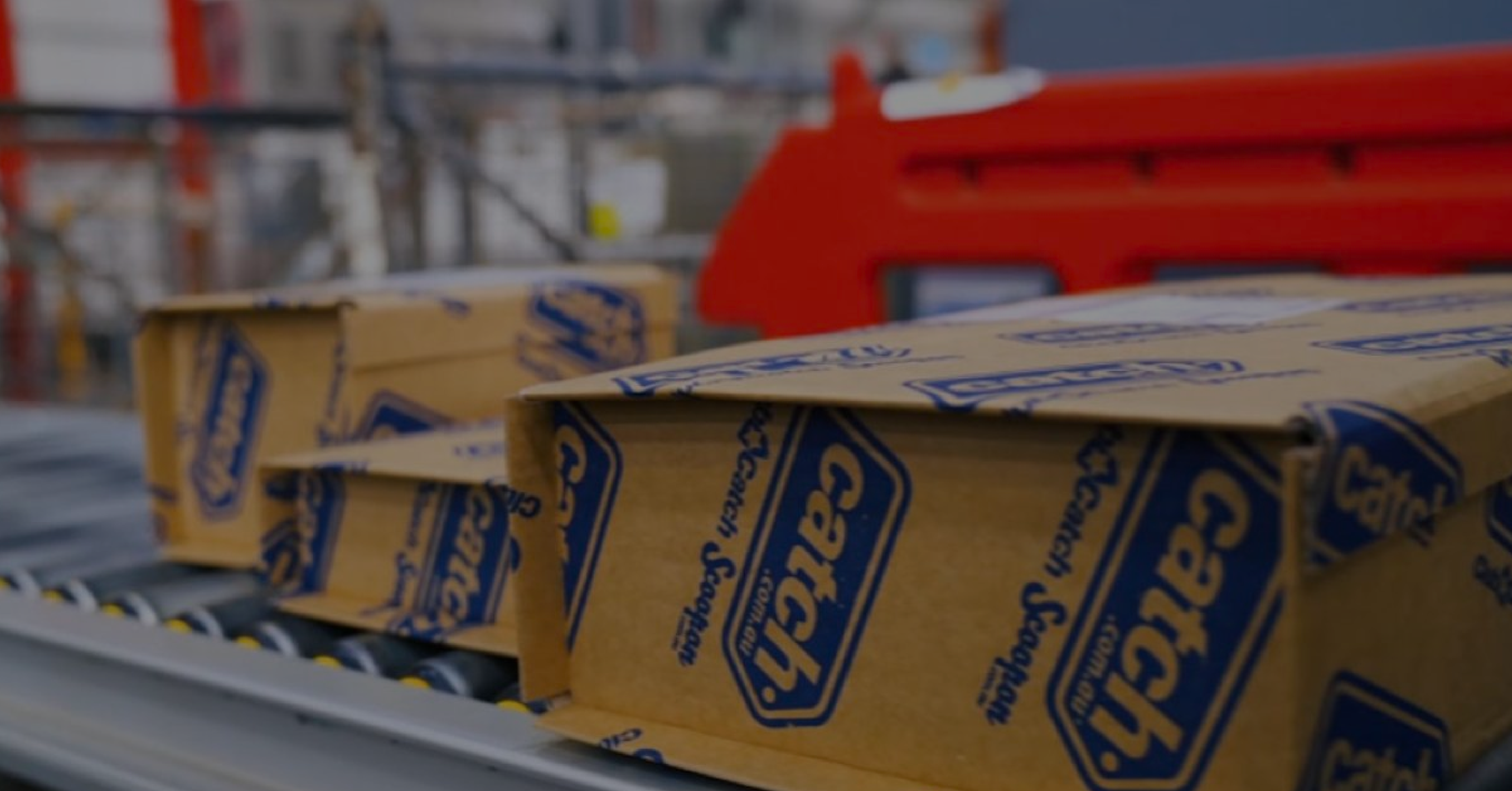 Be Alert for Phishy Catch.com.au Order Shipping Emails